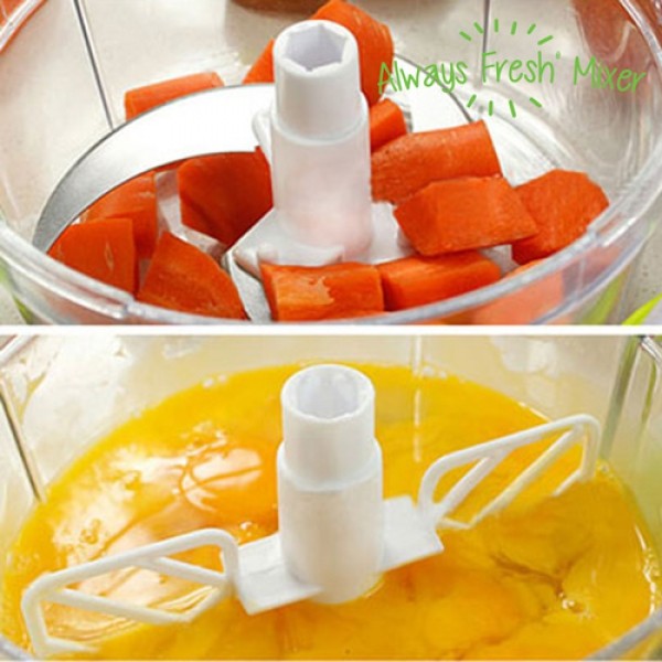 Always Fresh Mixer alles in 1 Salademaker nu verkrijgbaar bij ...